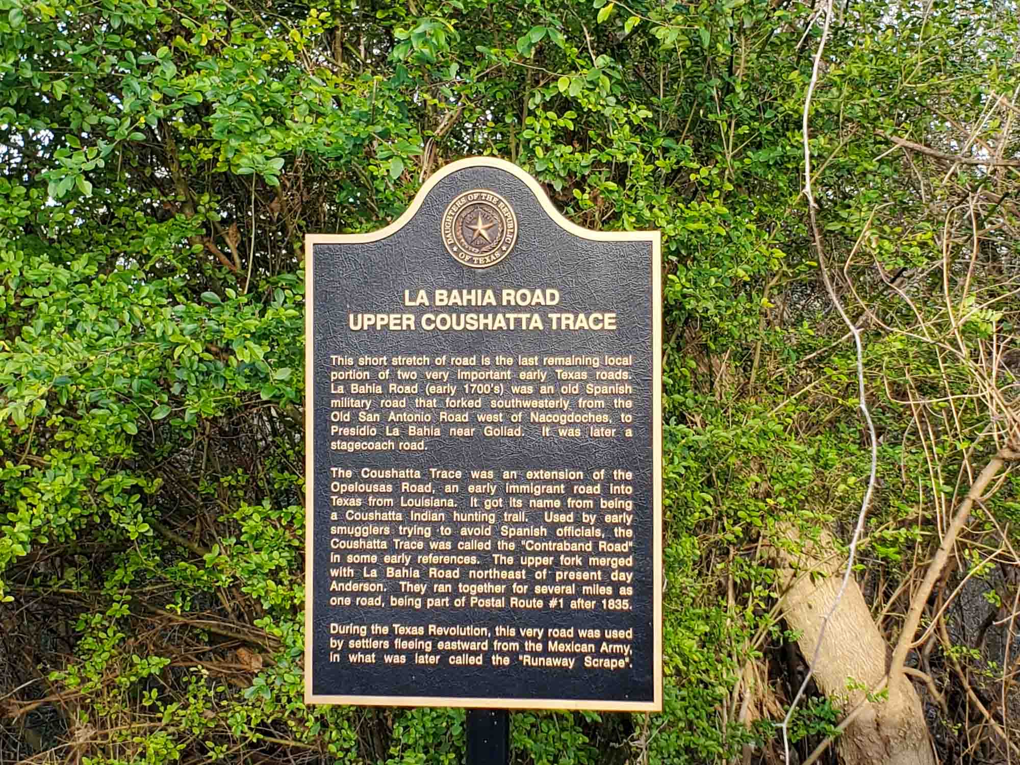 11 Must-See Attractions and Hidden Gems in Anderson, Texas!