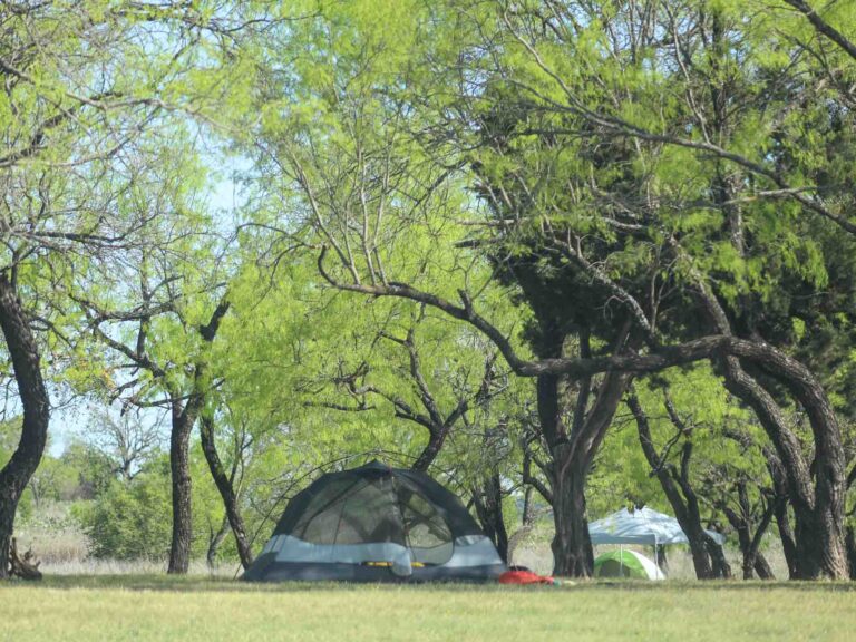 Austin's Hidden Gem: Muleshoe Bend Recreation Area Awaits!