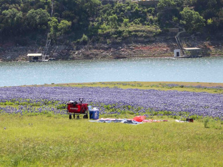 Austin's Hidden Gem: Muleshoe Bend Recreation Area Awaits!