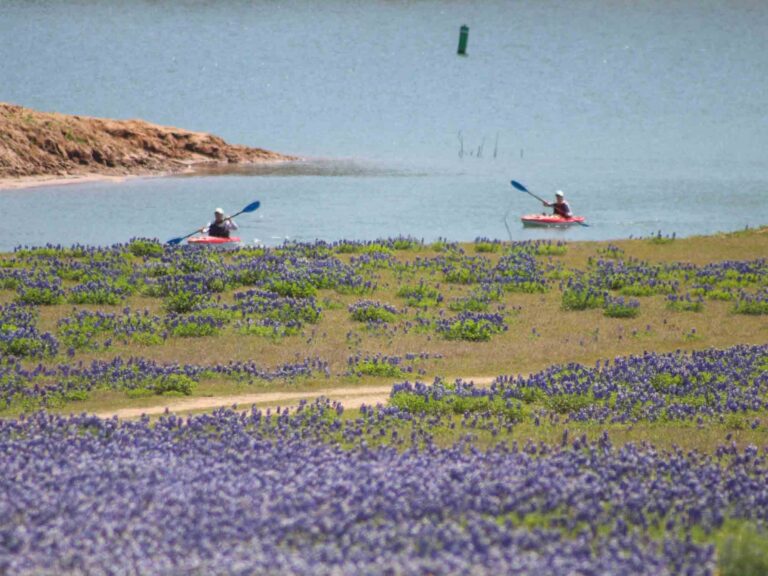Austin's Hidden Gem: Muleshoe Bend Recreation Area Awaits!