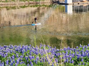 Austin's Hidden Gem: Muleshoe Bend Recreation Area Awaits!