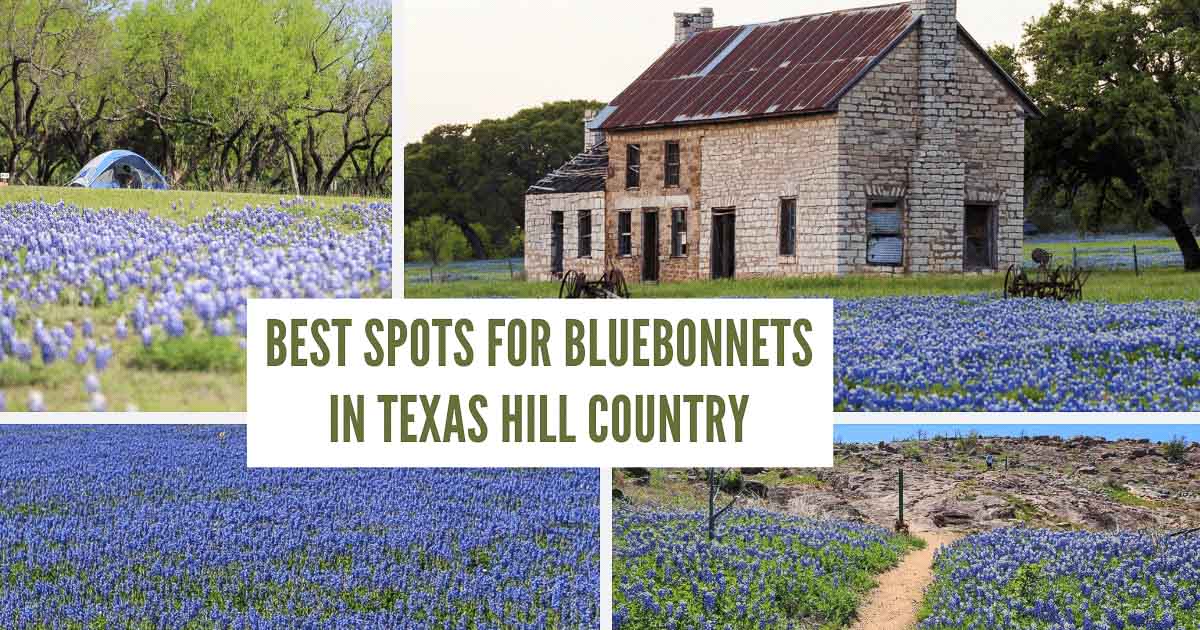 The Bluebonnet Trail: 8 Stops You Can't Miss in Texas Hill Country