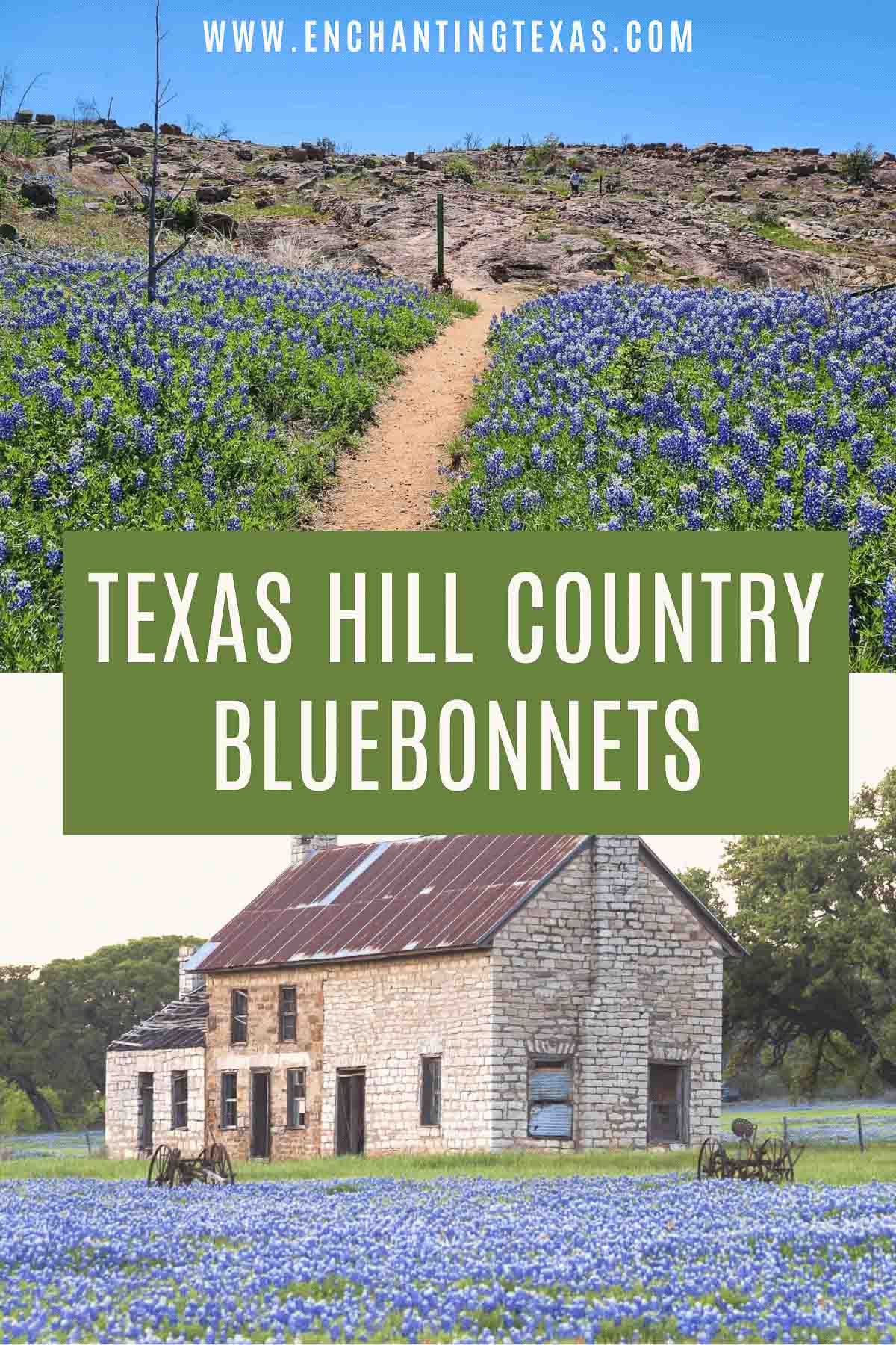 The Bluebonnet Trail: 8 Stops You Can't Miss in Texas Hill Country