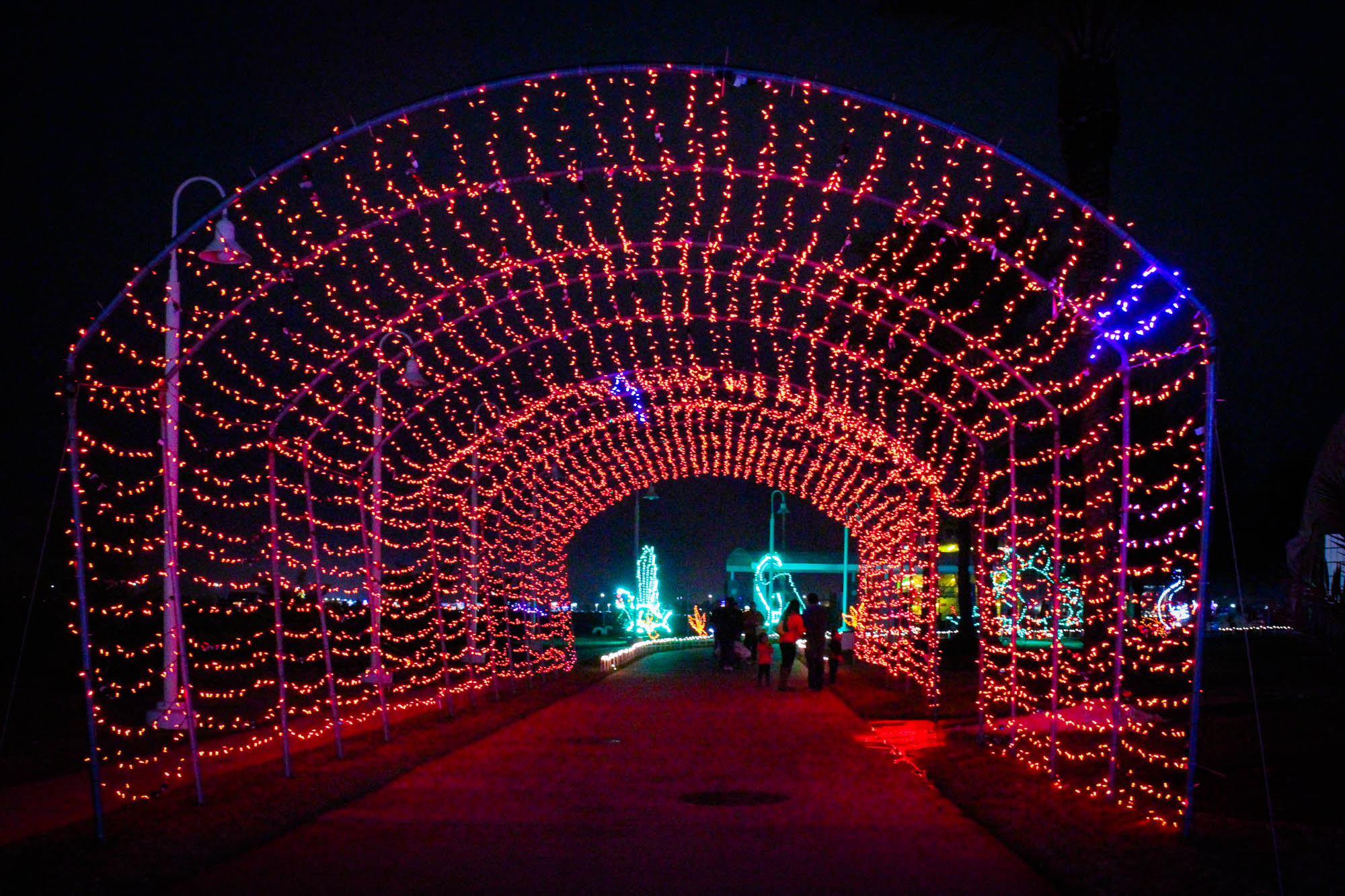 20 Best Things to do for Christmas in Houston, Texas