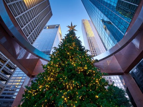 A Local's Guide: 20 Ways to Embrace the Spirit of Christmas in Houston ...