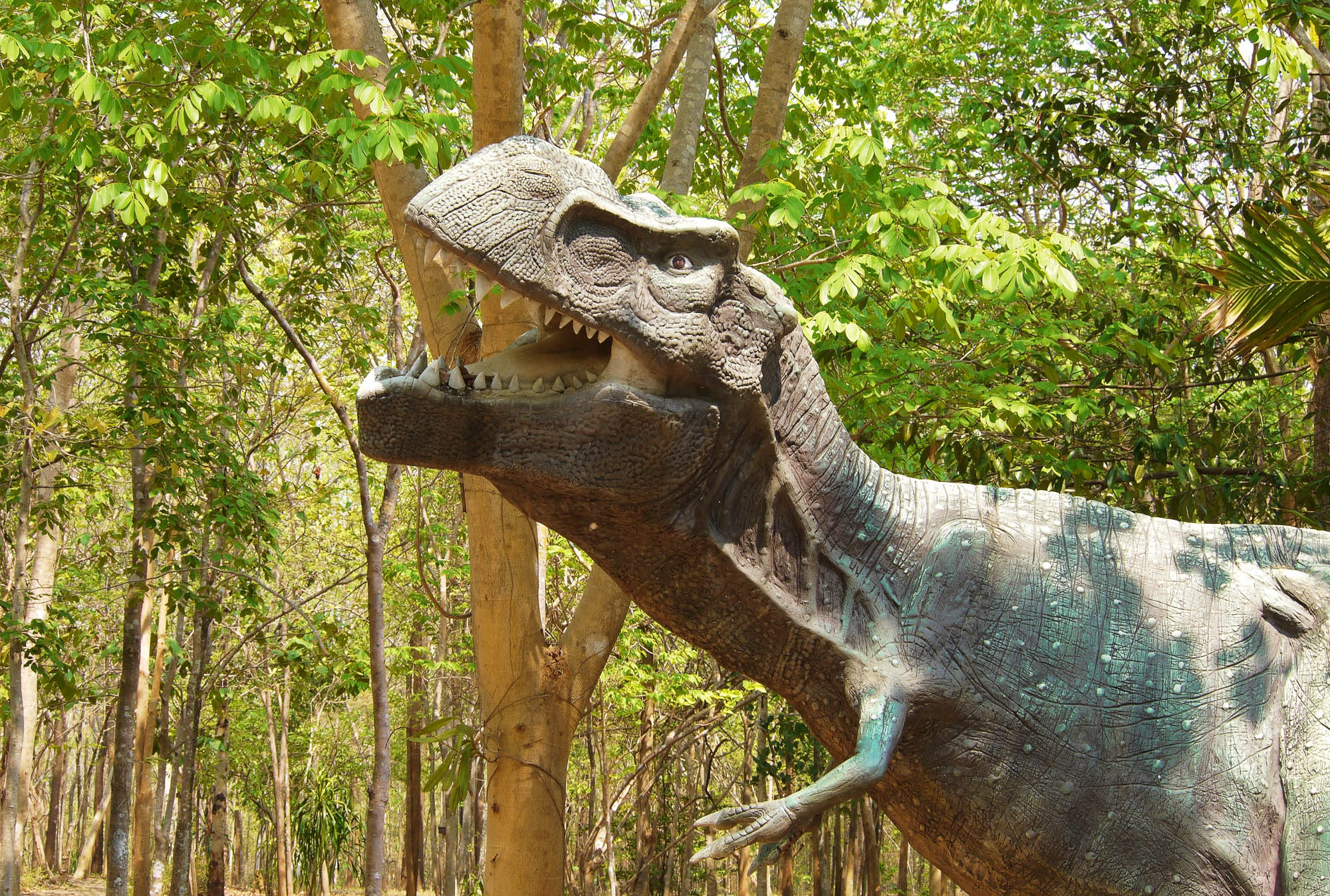 14 Amazing & Cool Dinosaur Museums in Texas