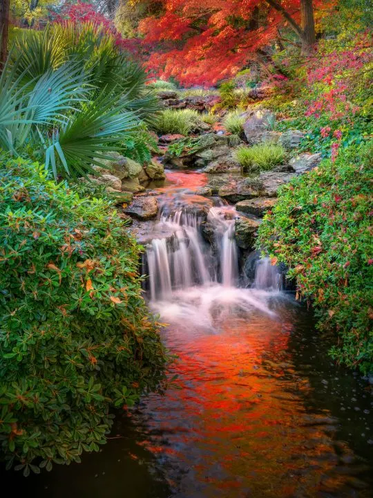 14 Best Places to see Fall in Texas