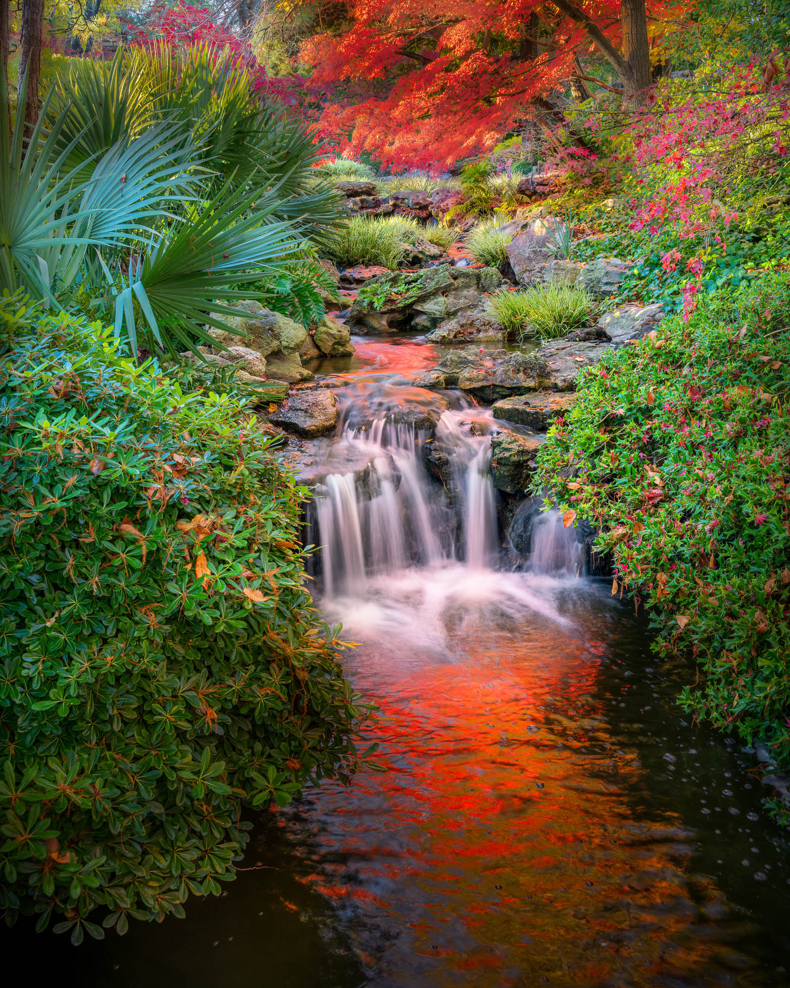 14 Best Places to see Fall in Texas