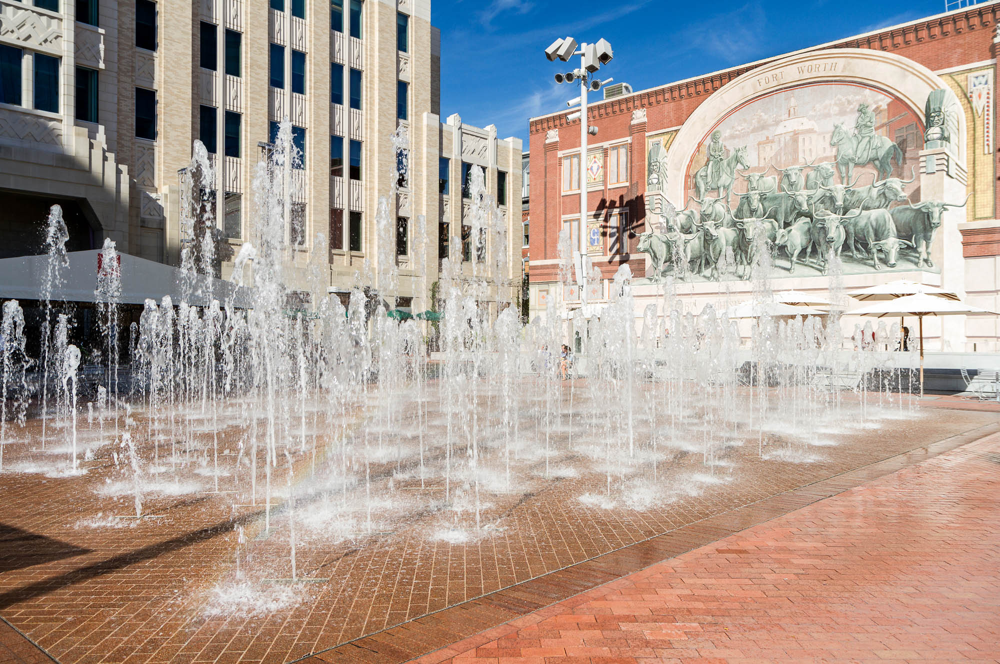 Yeehaw! 24 Top-rated Things to do in Fort Worth