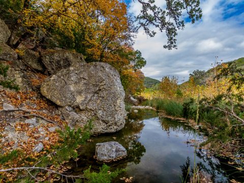 14 Best Places to see Fall in Texas
