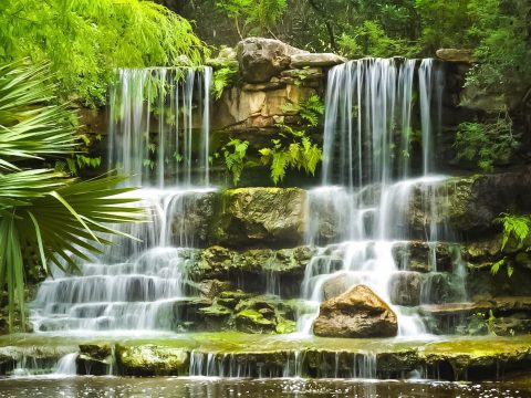 31 Best Things to do in Austin, Texas