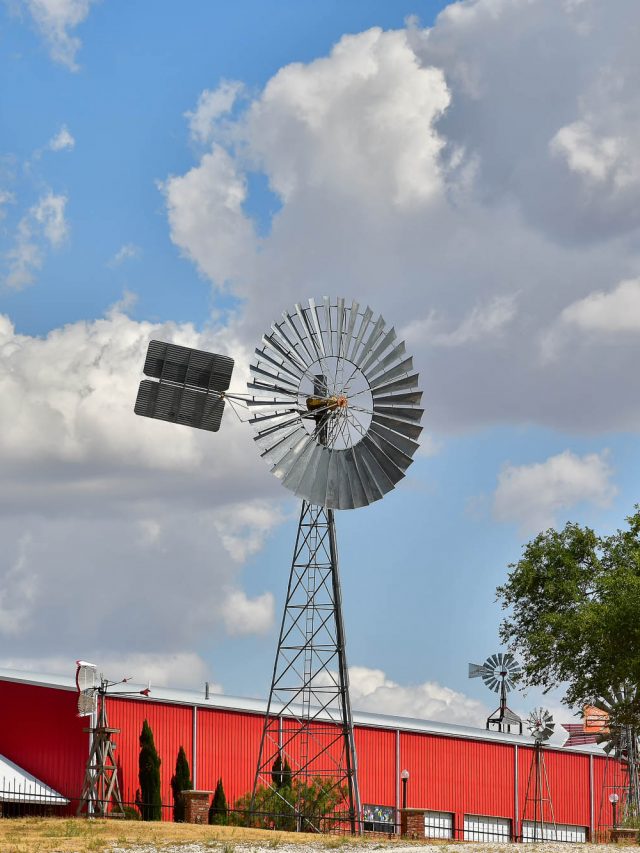 20 Best Things to do in Tyler, Texas