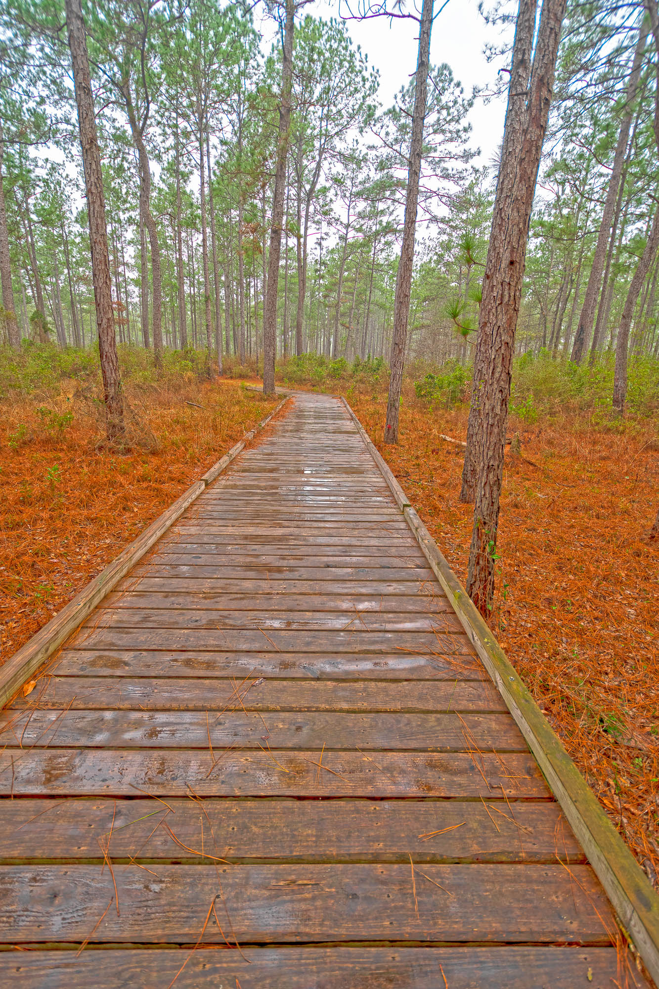 21 Amazing & Incredible Road Trips in Texas 2023 - Enchanting Texas