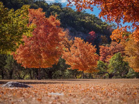 Ultimate Guide to the 7 Regions of Texas