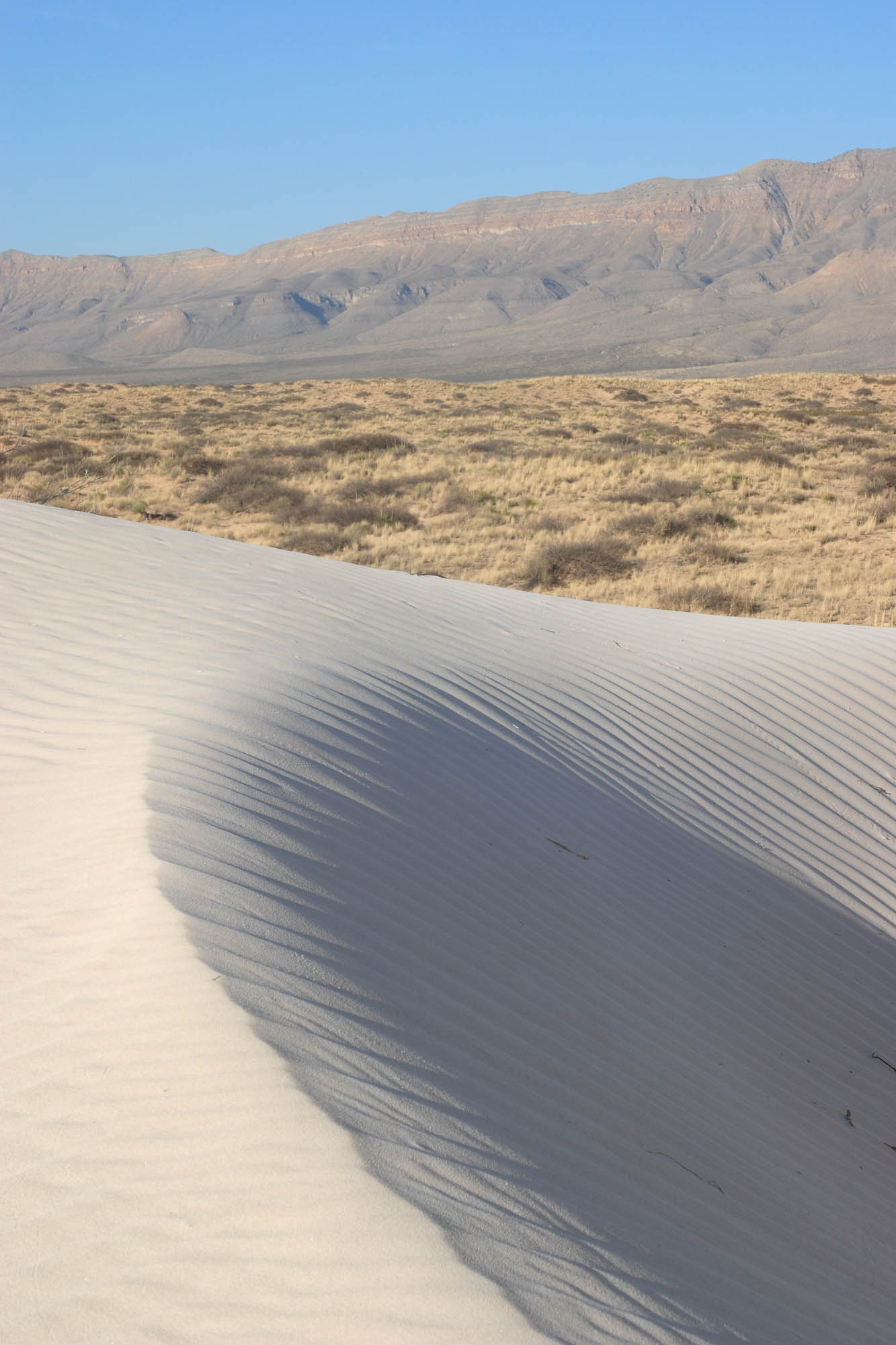 29 Best Things to do in El Paso, Texas - Enchanting Texas