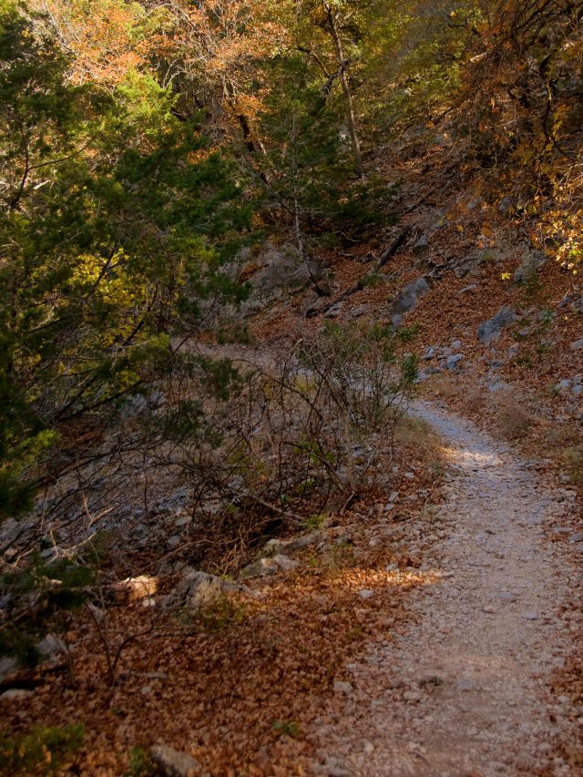 14 Best Places to see Fall in Texas