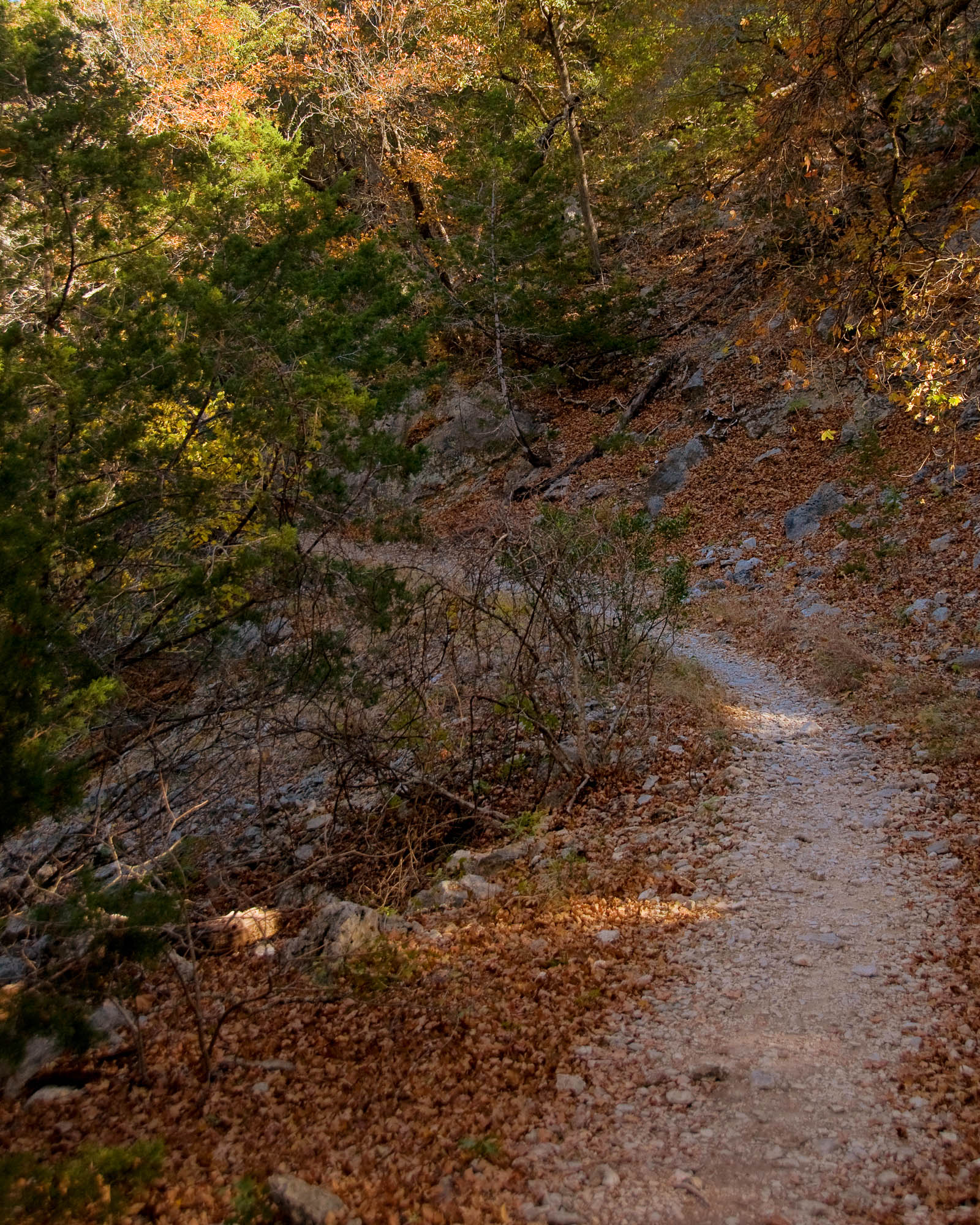 14 Best Places to see Fall in Texas - Enchanting Texas