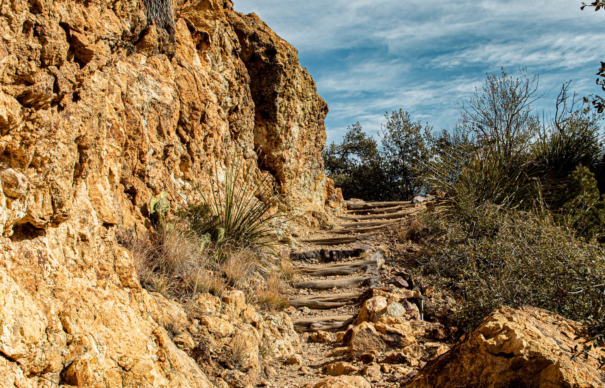 14 Best Places to see Fall in Texas
