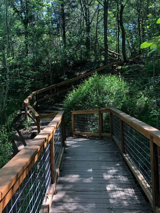 20 Amazing East Texas Hiking Trails to explore now