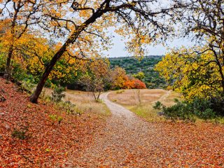 28 Awesome Things to do in the Texas Hill Country