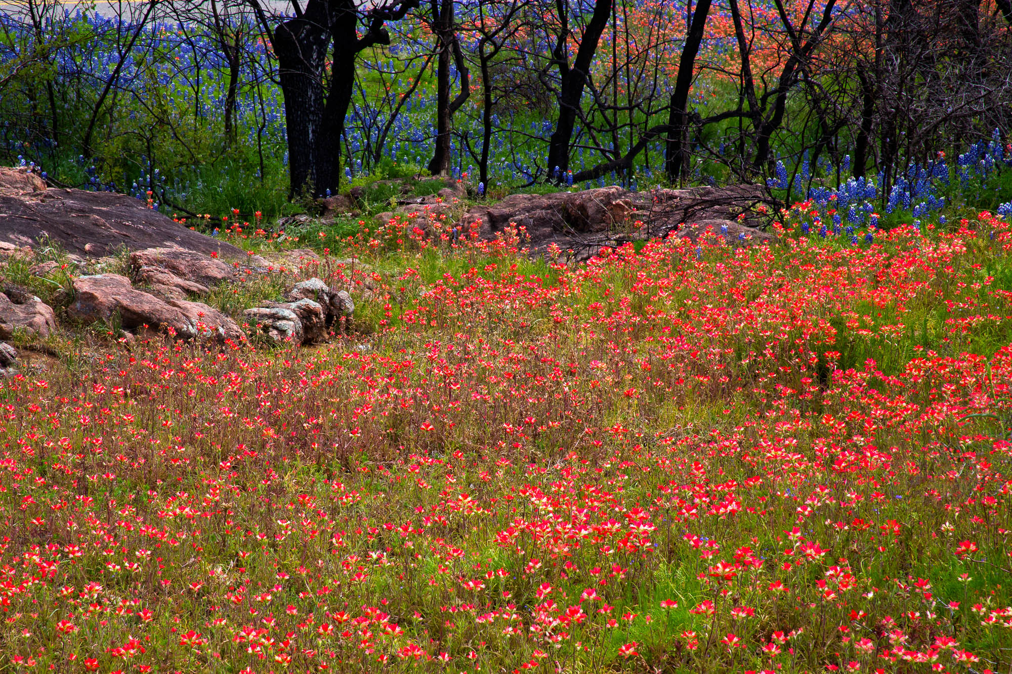 20 Family Fun Destinations for Spring Break in Texas 2023