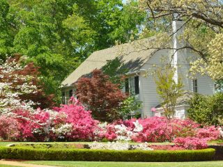 20 Best Things to do in Tyler, Texas