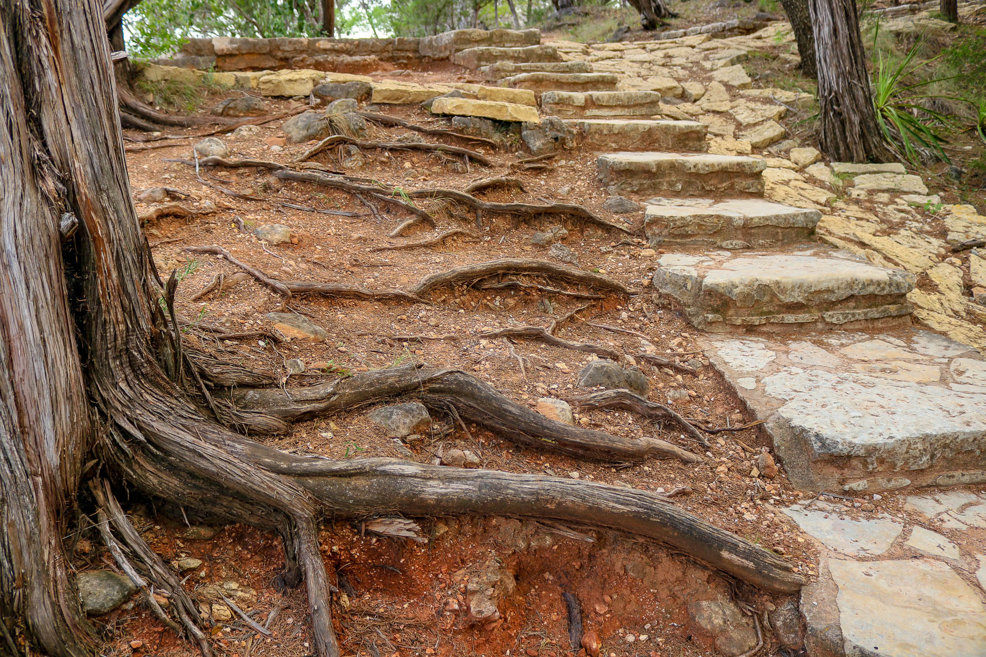 20 Best Hiking Trails in the Texas Hill Country