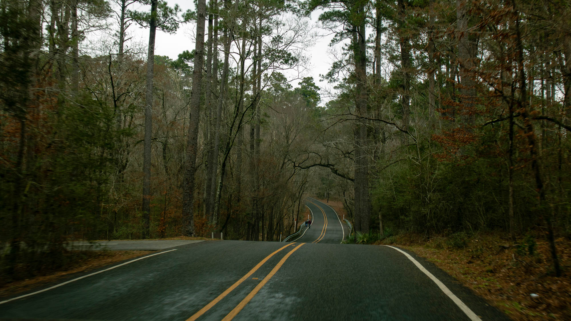 50 Amazing Day Trips From Houston, Texas - Enchanting Texas