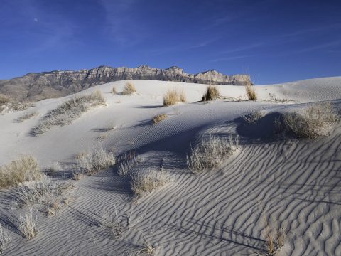 Exploring Wild West Texas: Big Bend National Park Road Trip from Austin