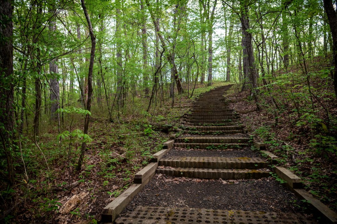 20 Amazing East Texas Hiking Trails to explore now