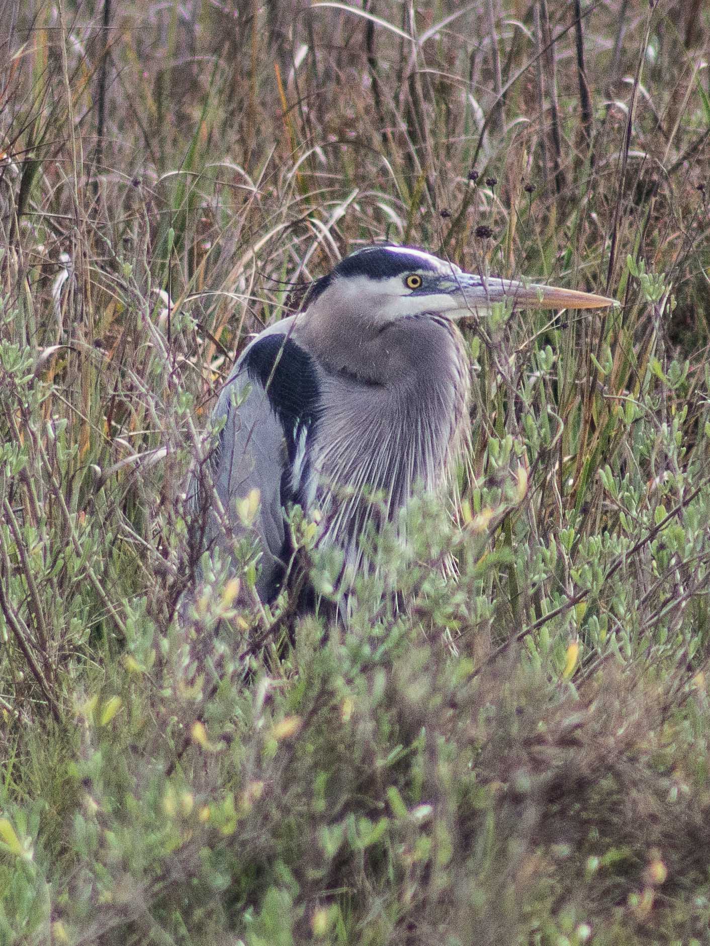 15 Best Things to do in McAllen, Texas