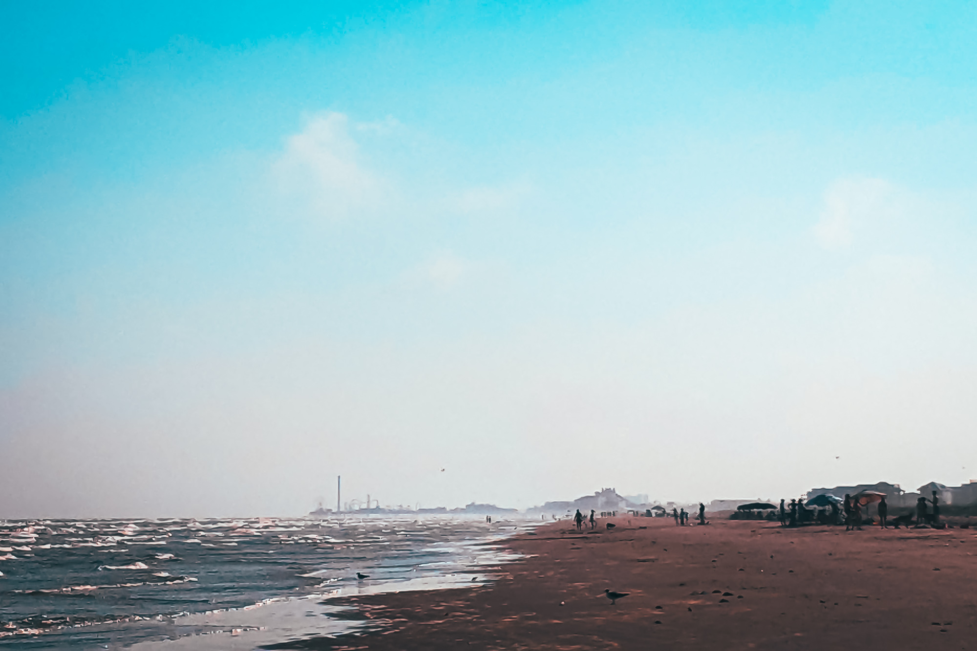 13 Best Beaches in Galveston, Texas