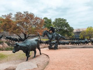 32 Incredibly Fun Things to do in Dallas, Texas