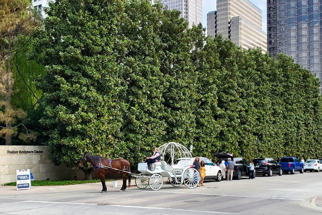 Coolest things to do in each North Texas County