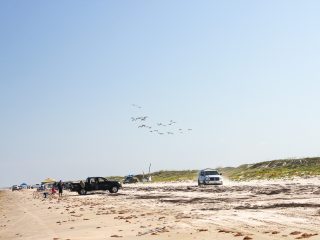 20 Best Things to do at Padre Island National Seashore, Texas