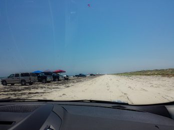 20 Best Things to do at Padre Island National Seashore, Texas