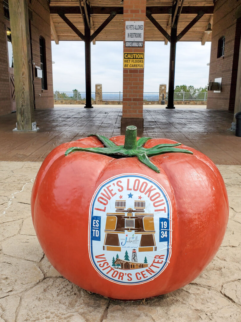 48 Fun & Interesting Day Trips from Dallas, Texas