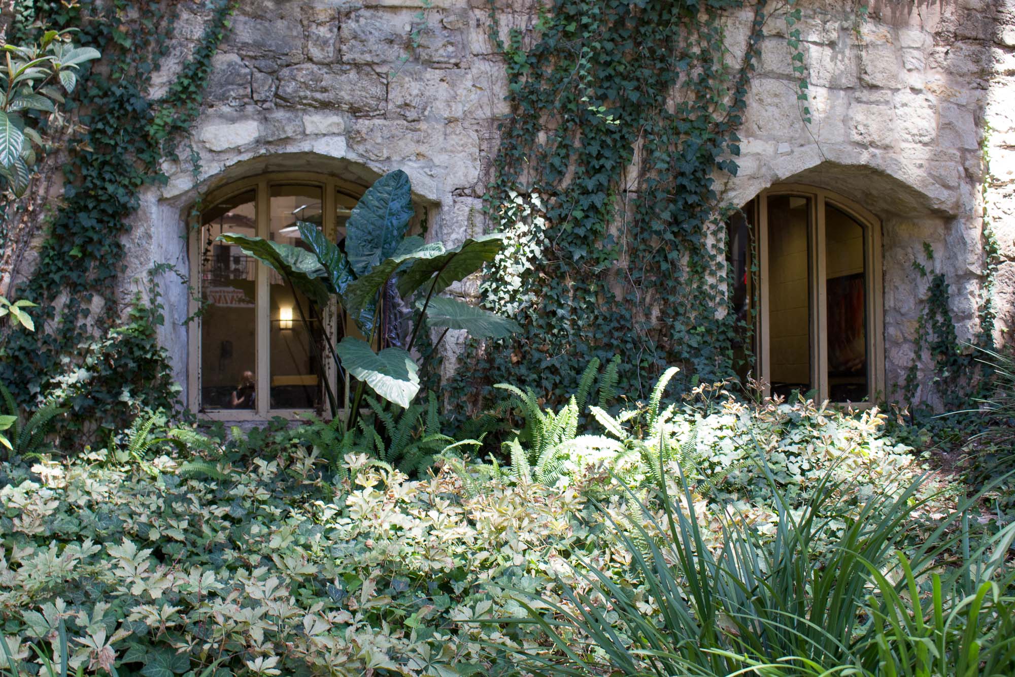 21 Amazing Things to do at the San Antonio River Walk