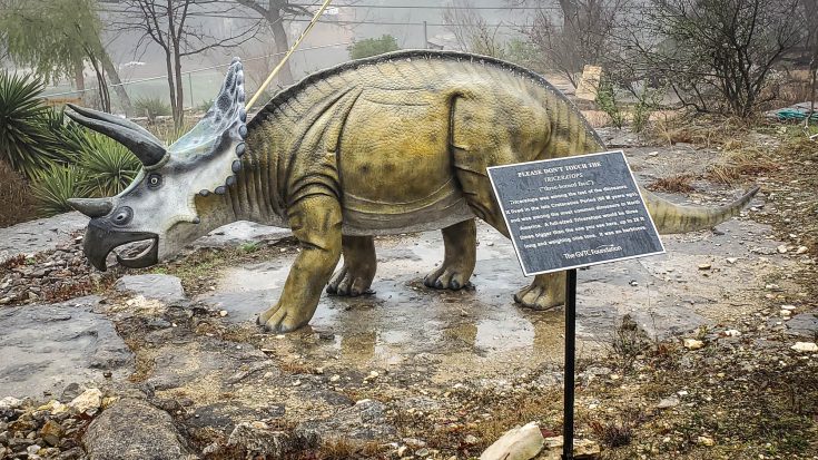 Visit Dino Tracks at Heritage Museum of Texas Hill Country Now!