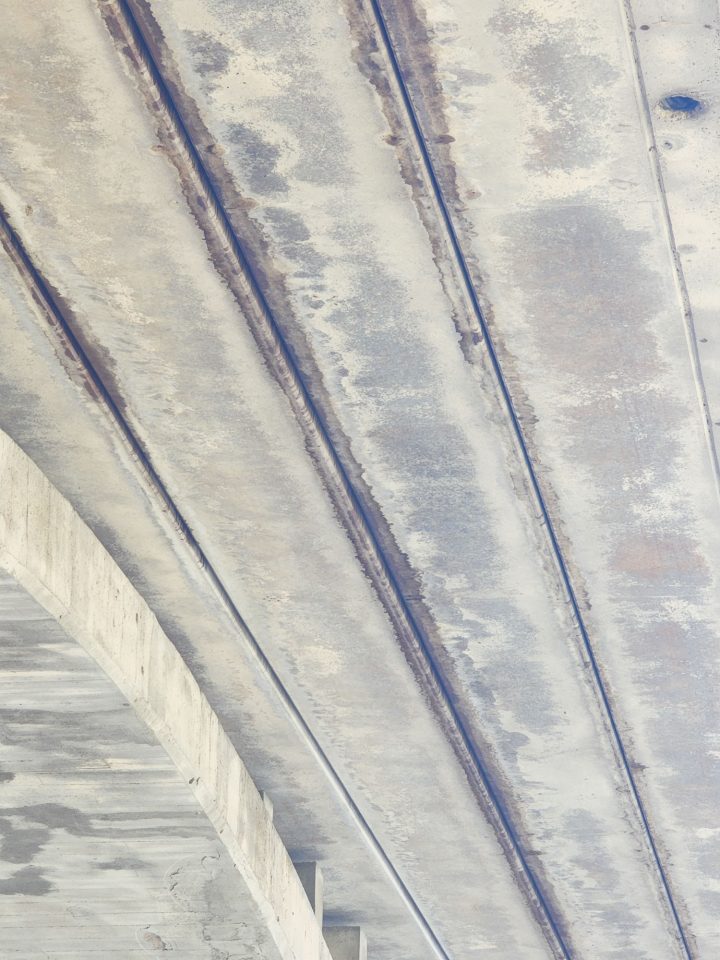 Ultimate Guide to Watching Congress Avenue Bats, Austin