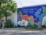 25 Famous Quotes About Austin, Texas