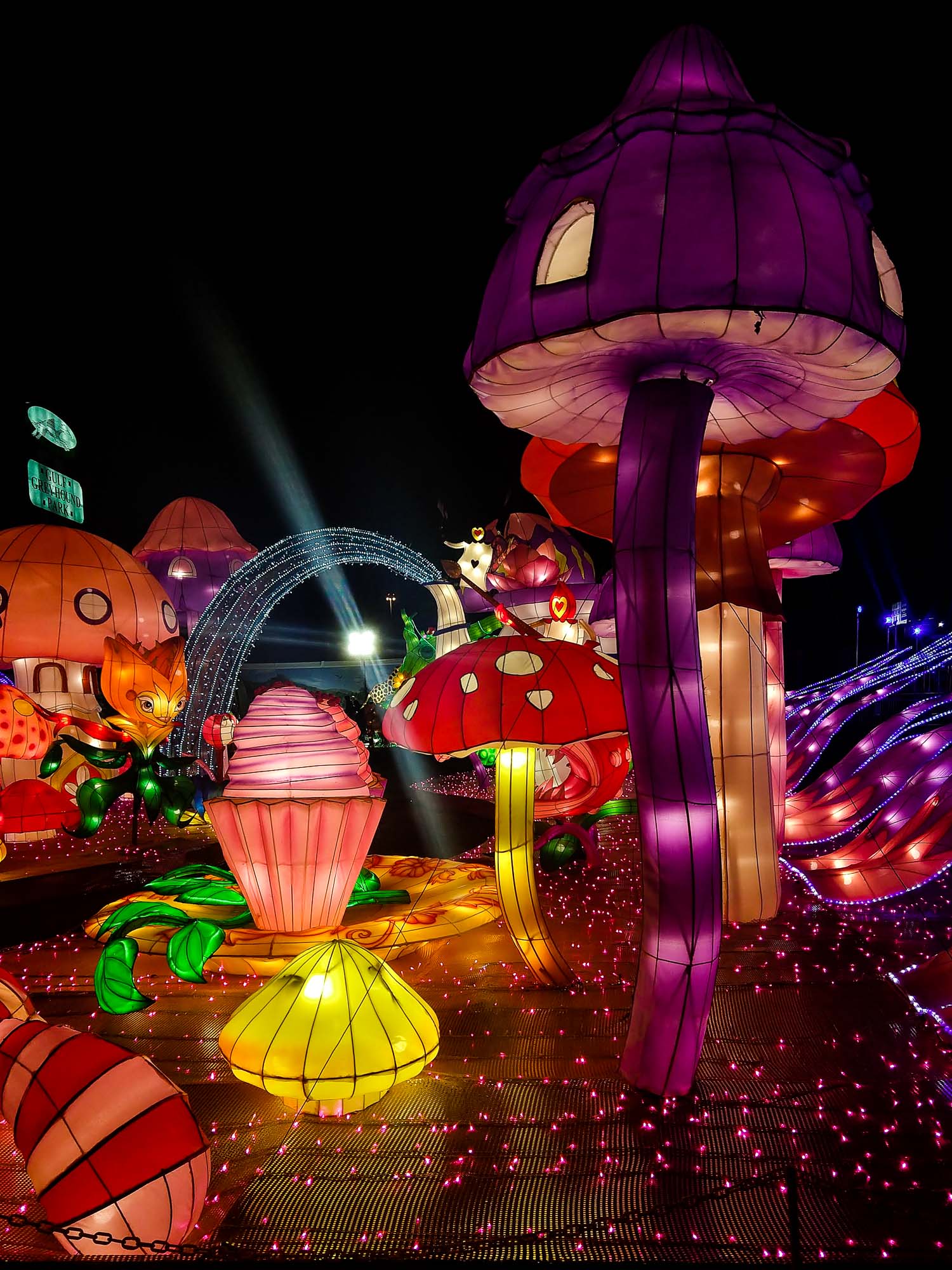 Magical Winter Lights, Houston: Ultimate Guide