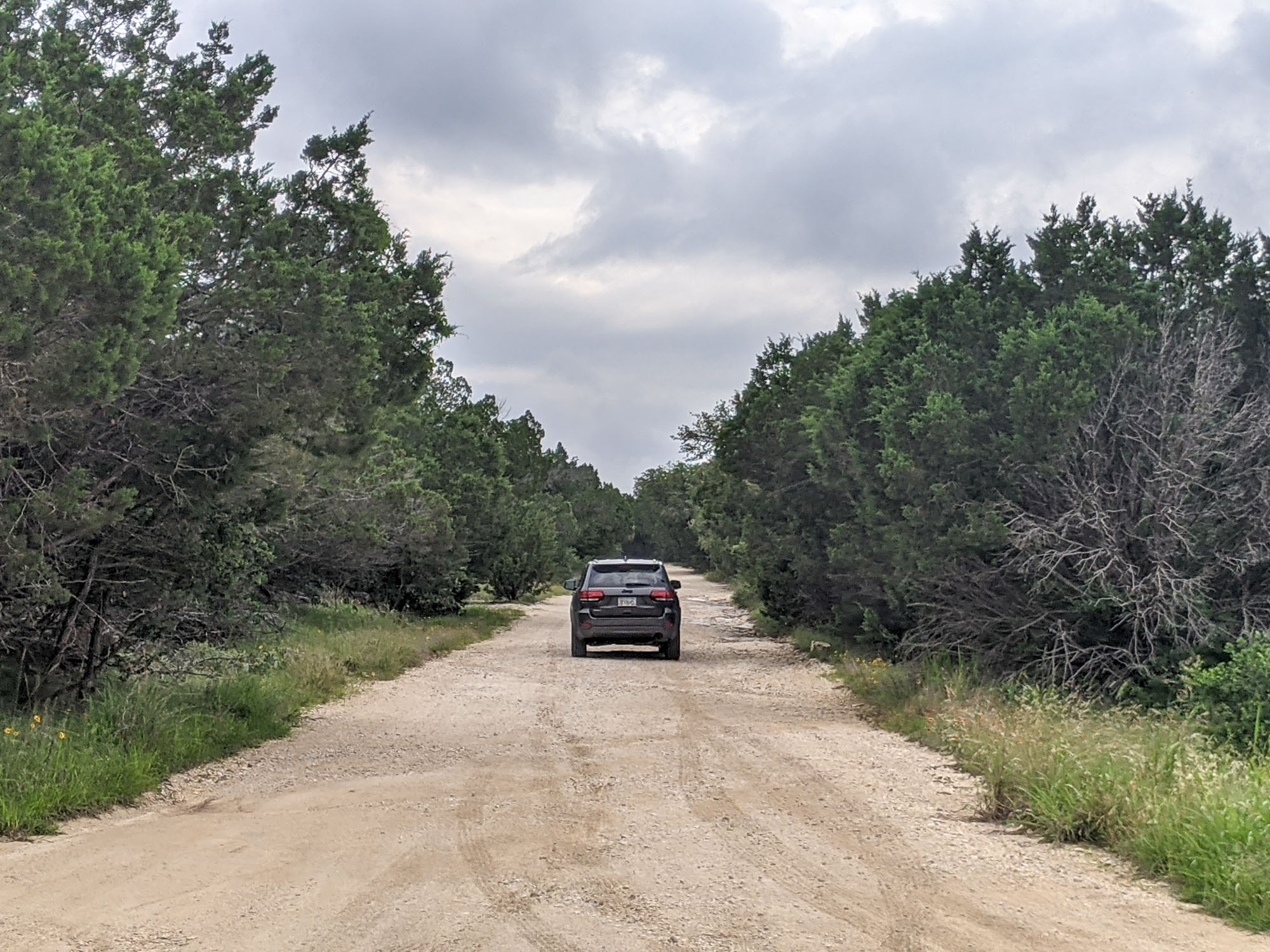 Colorado Bend State Park: How to Visit and What to do