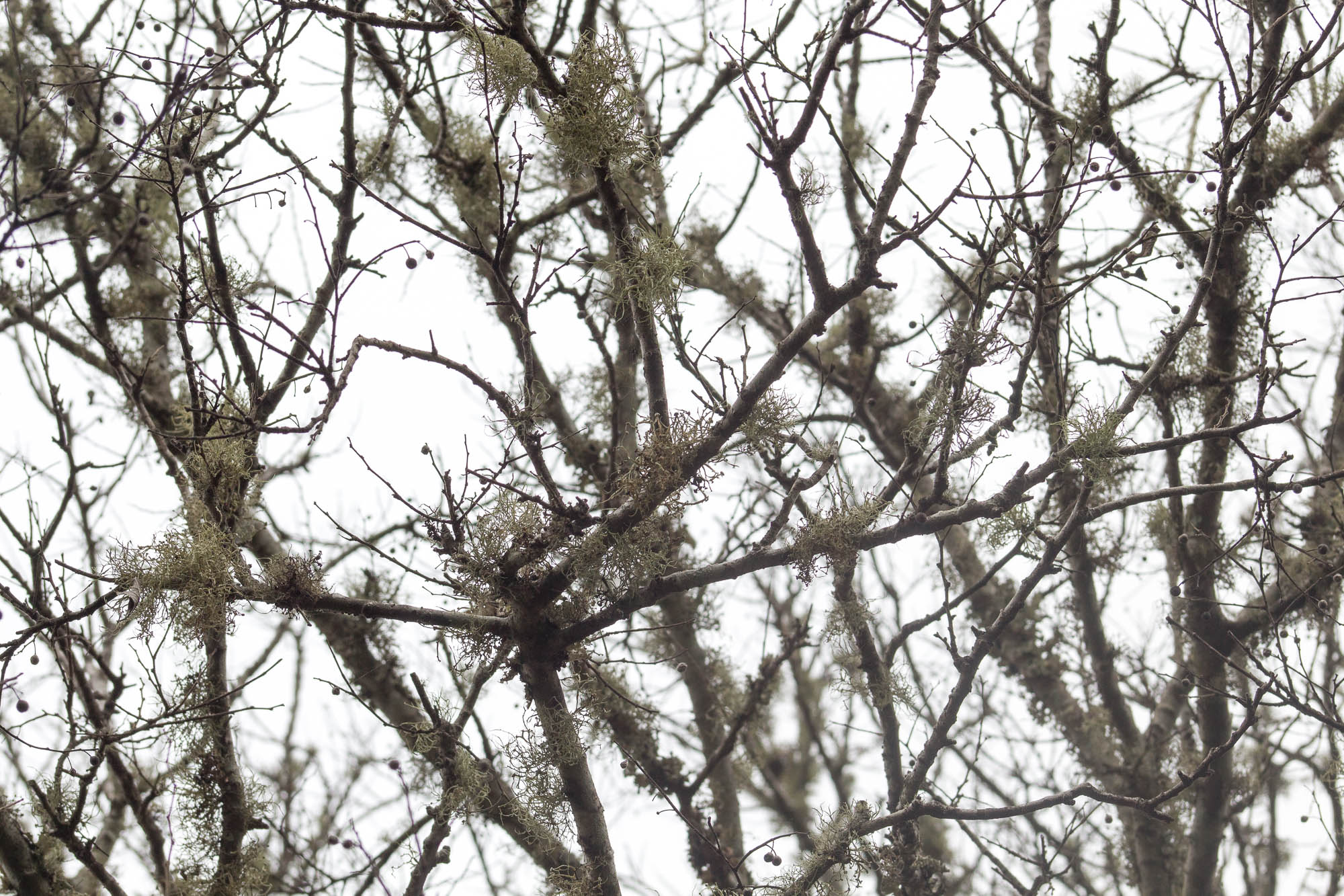 11 Awesome Things to do at Brazoria National Wildlife Refuge, Texas