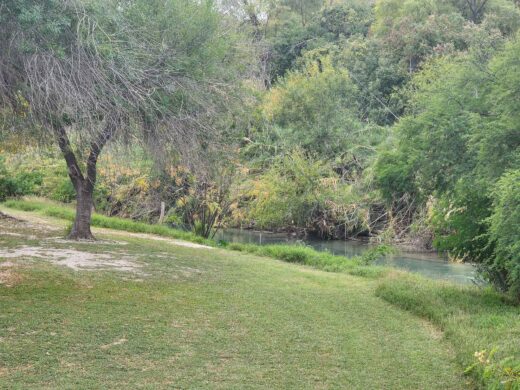 15 Best Things to do in McAllen, Texas