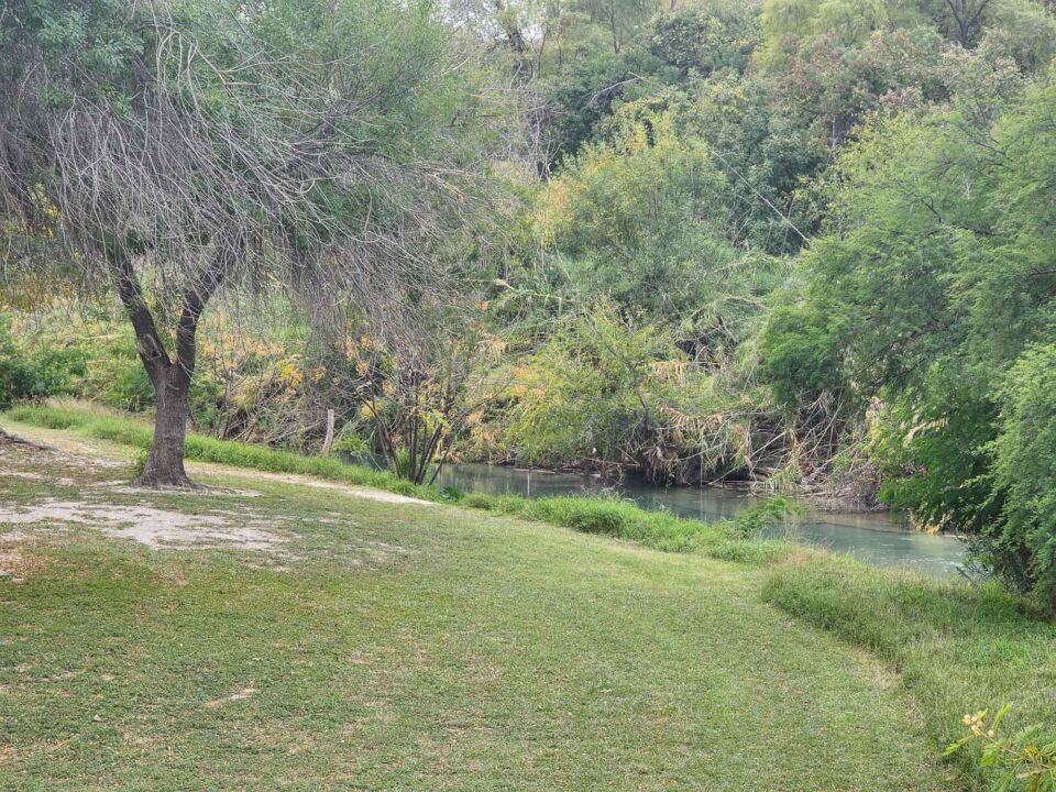 15 Best Things to do in McAllen, Texas