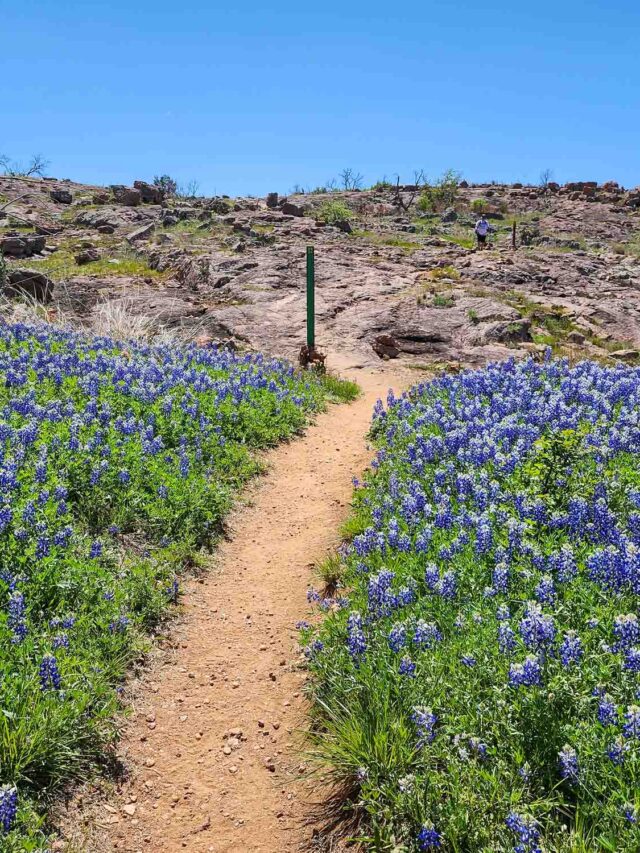 25 Best Things to do in Killeen, Texas