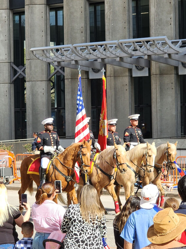 Houston Downtown Rodeo Parade - Unmissable Highlights!
