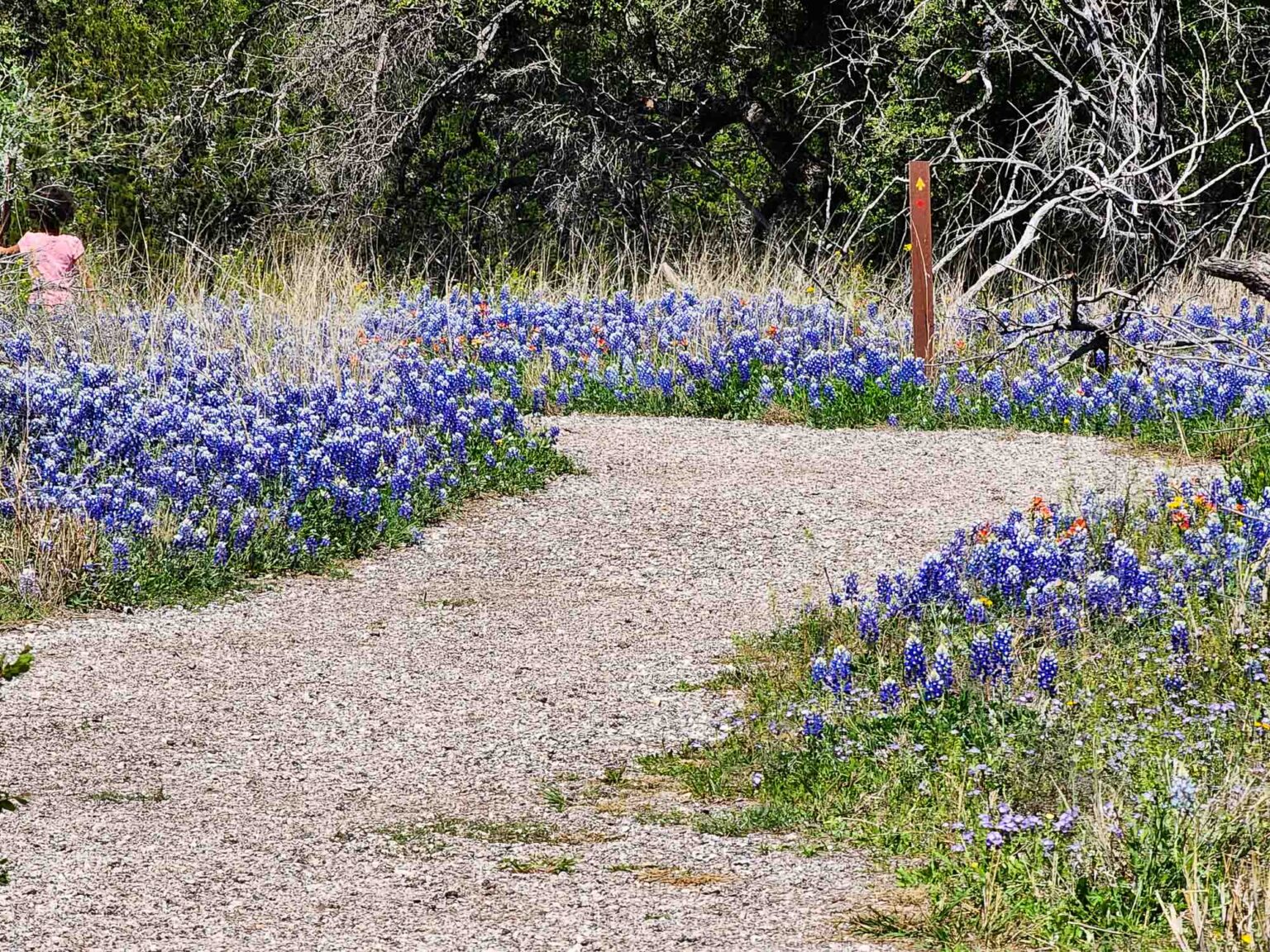 13 Best Things to do at Inks Lake State Park, Texas