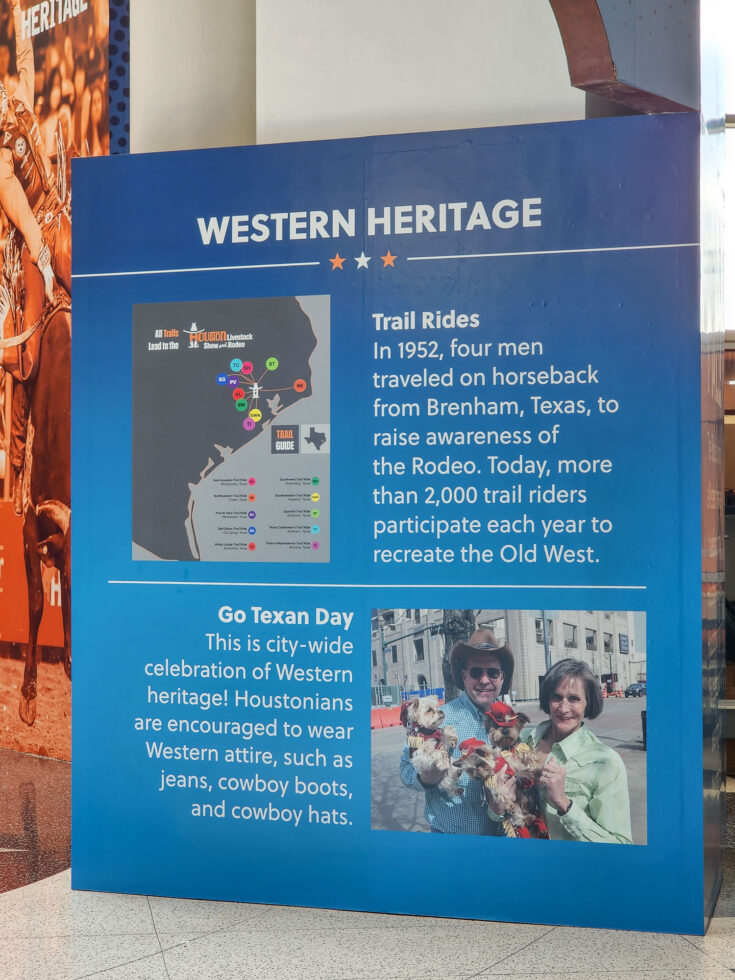 29 Best Things to do at the Houston Rodeo